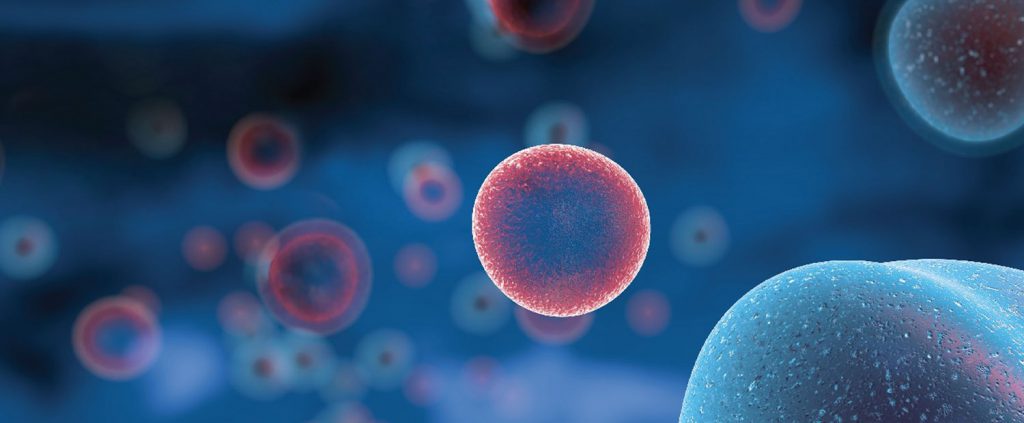 Dr. Rasheed Ahmad - DDI