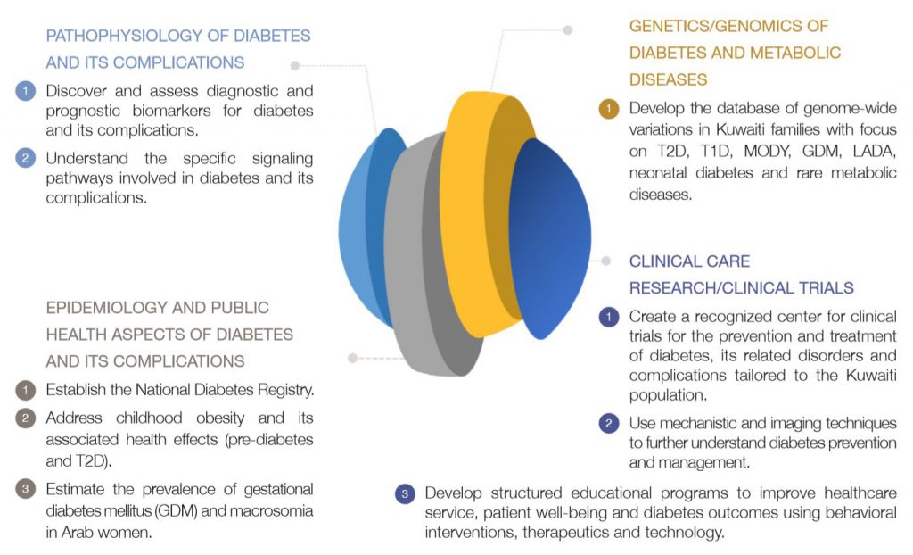 Research Strategy 2018–2023 - DDI
