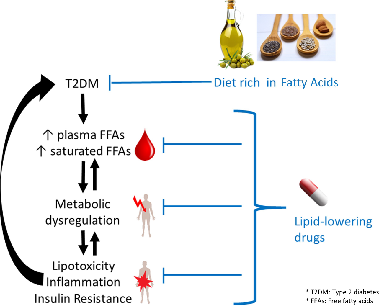 New Immunophenotypic Profiling helps identify Type 2 Diabetes (T2D ...